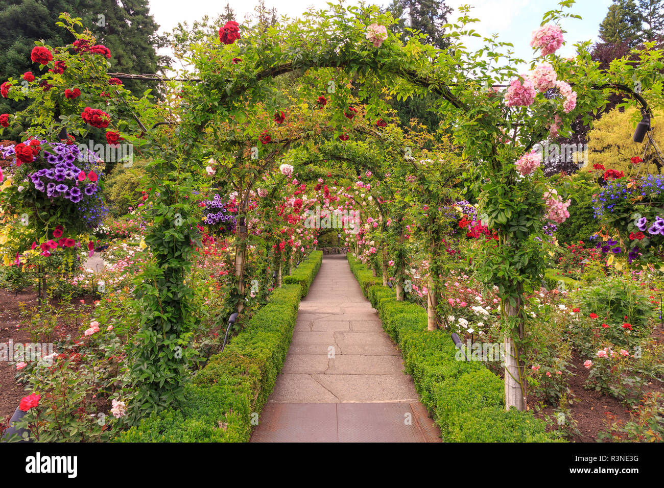 Summer, Butchart Gardens, Brentwood Bay near Victoria, British Columbia ...