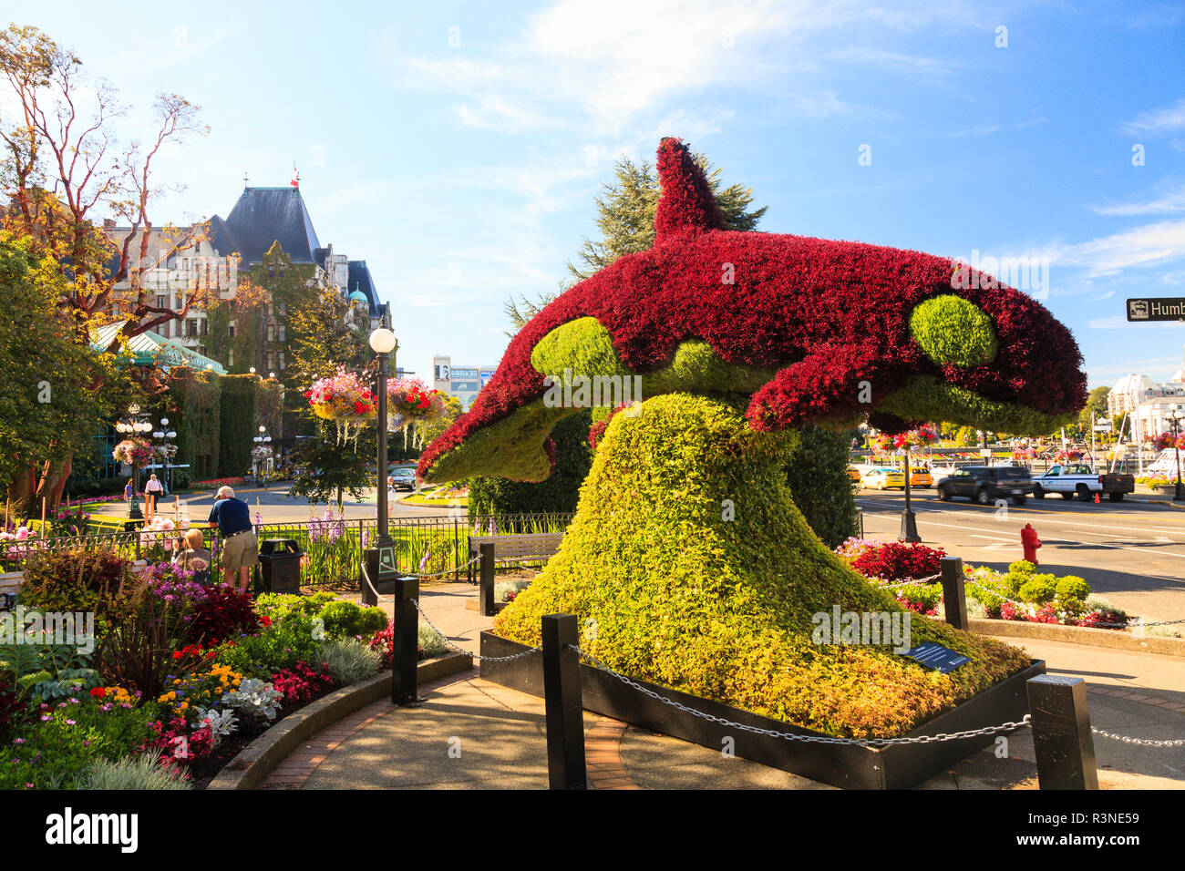 Orca Whale Hedge in front Empress Hotel, Inner Harbor, Victoria ...