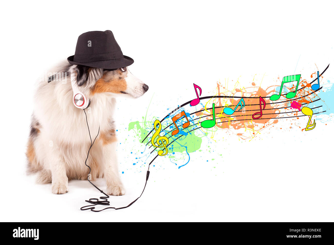musical dog with headphones Stock Photo - Alamy