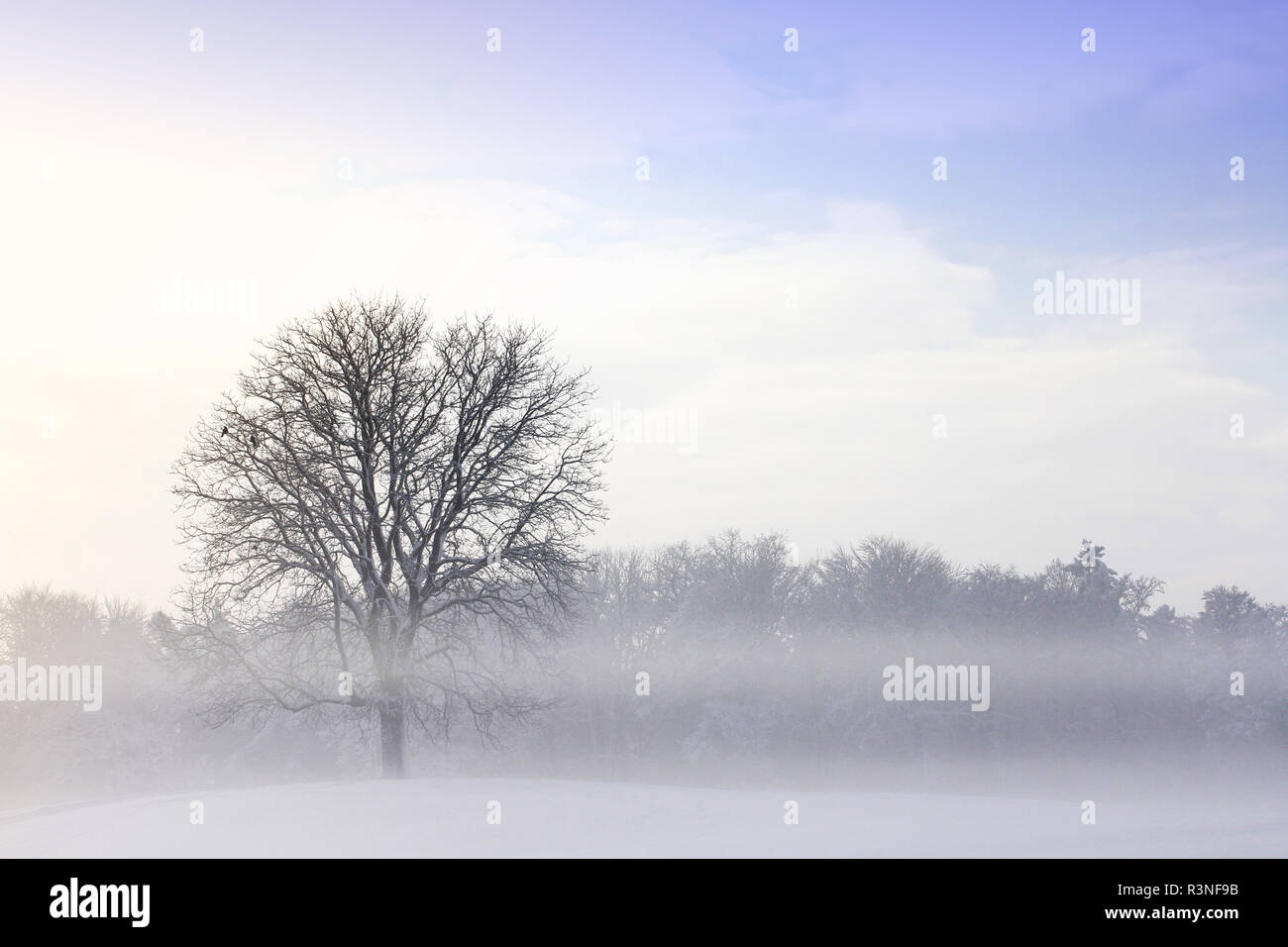 Vanishing head hi-res stock photography and images - Alamy