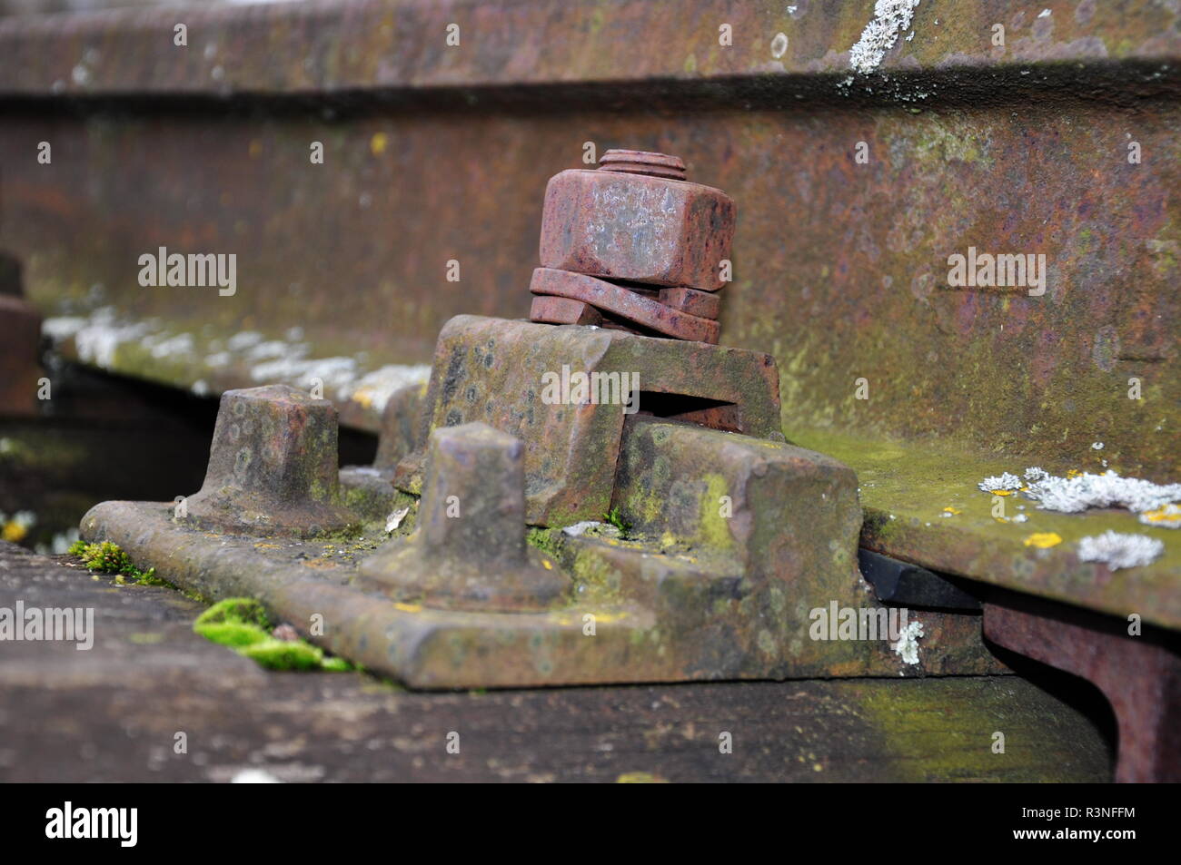 Snap cap hi-res stock photography and images - Alamy