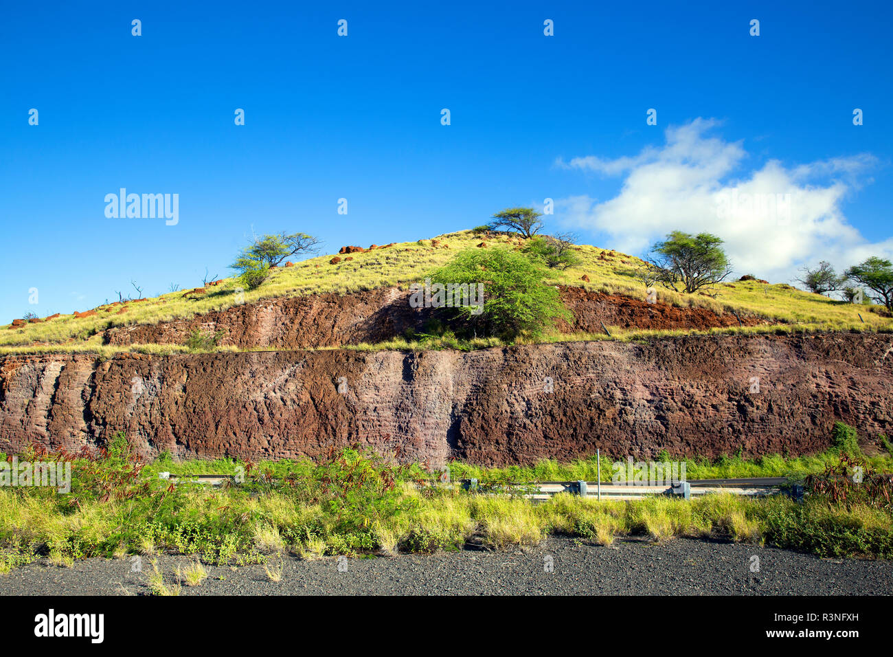 Green island main hi-res stock photography and images - Alamy