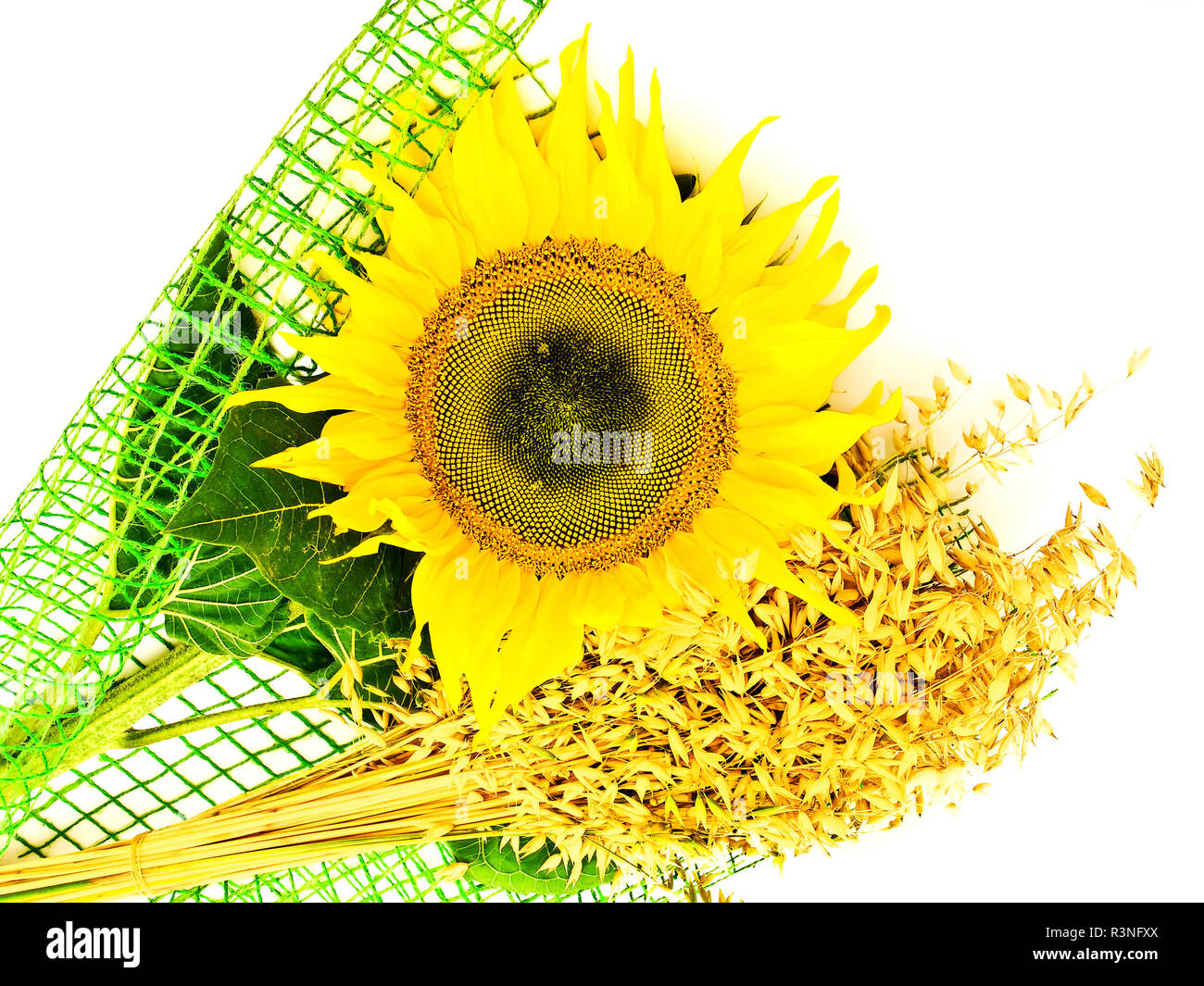Straw wisp hi-res stock photography and images - Alamy
