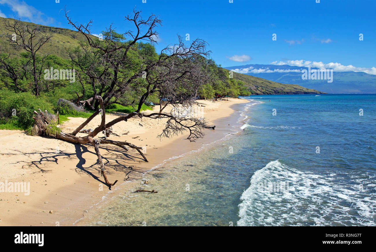 Little beach maui hi-res stock photography and images - Alamy