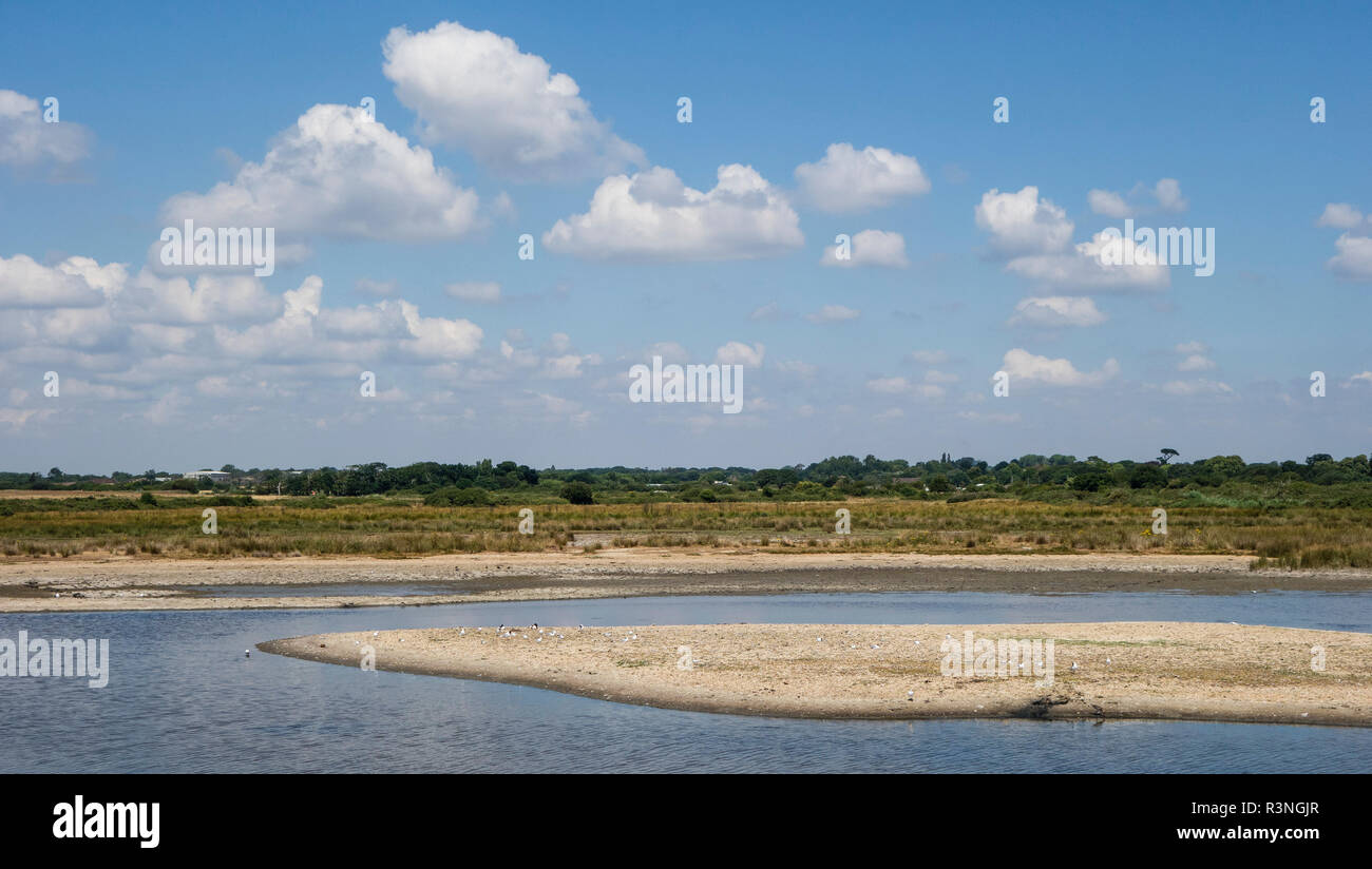 Brackish lagoon hi-res stock photography and images - Alamy