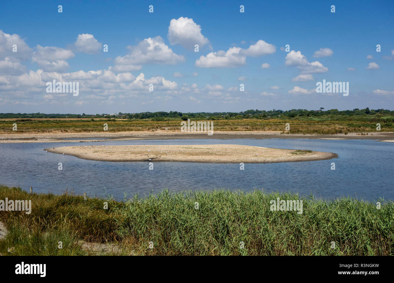 Keyhaven Nature Reserve shallow lagoon, Hampshire, England, UK Stock ...
