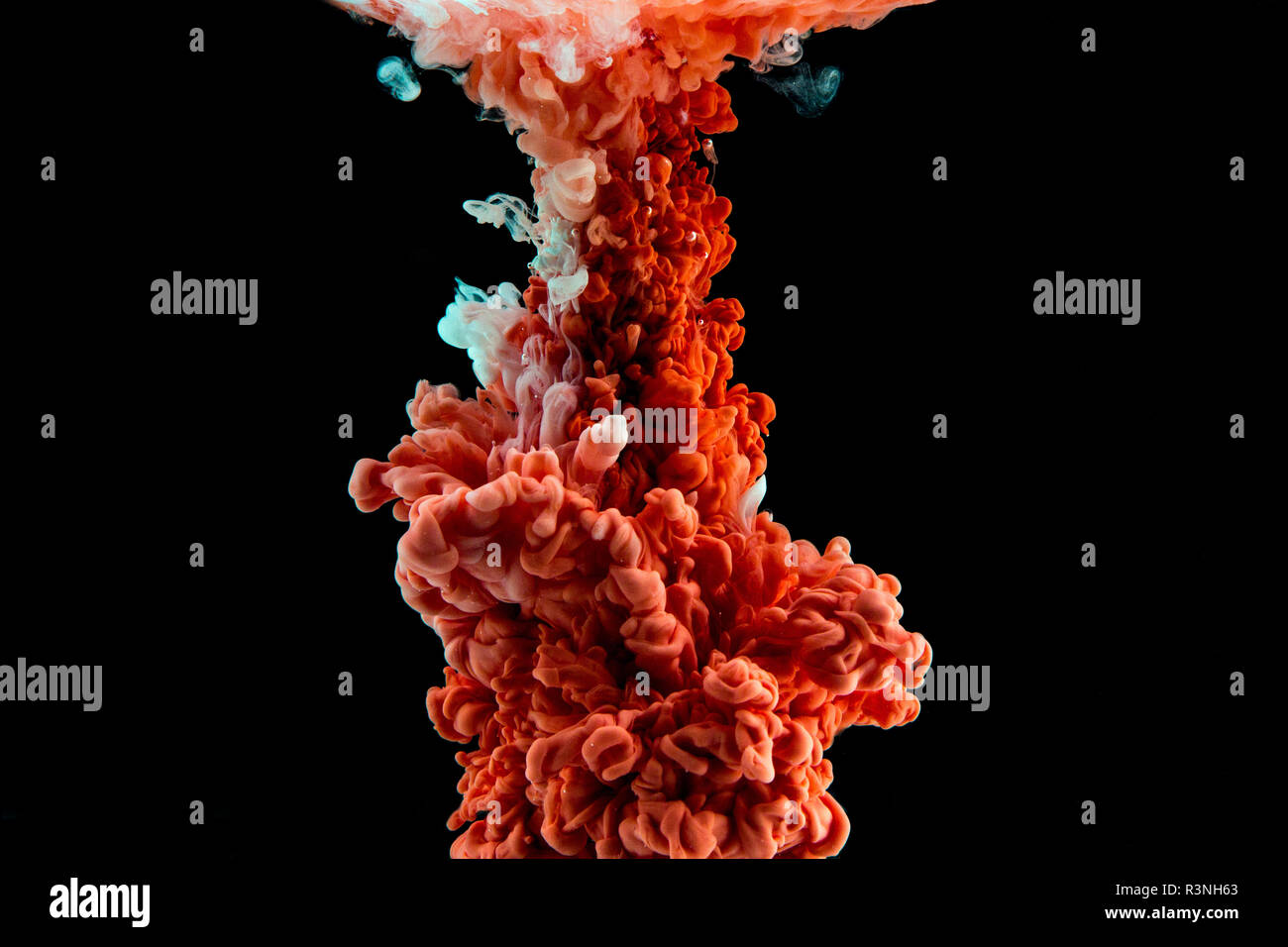 abstract formed by color dissolving in water on black background Stock ...
