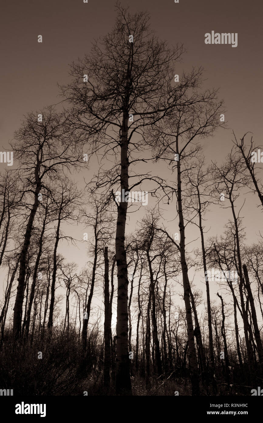 Ann and sandy cross hi-res stock photography and images - Alamy