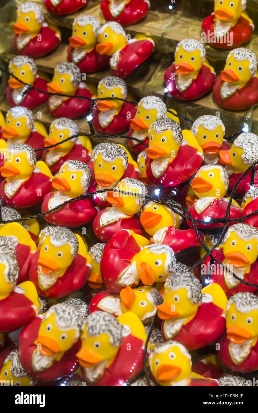 Austrian duck hi-res stock photography and images - Alamy