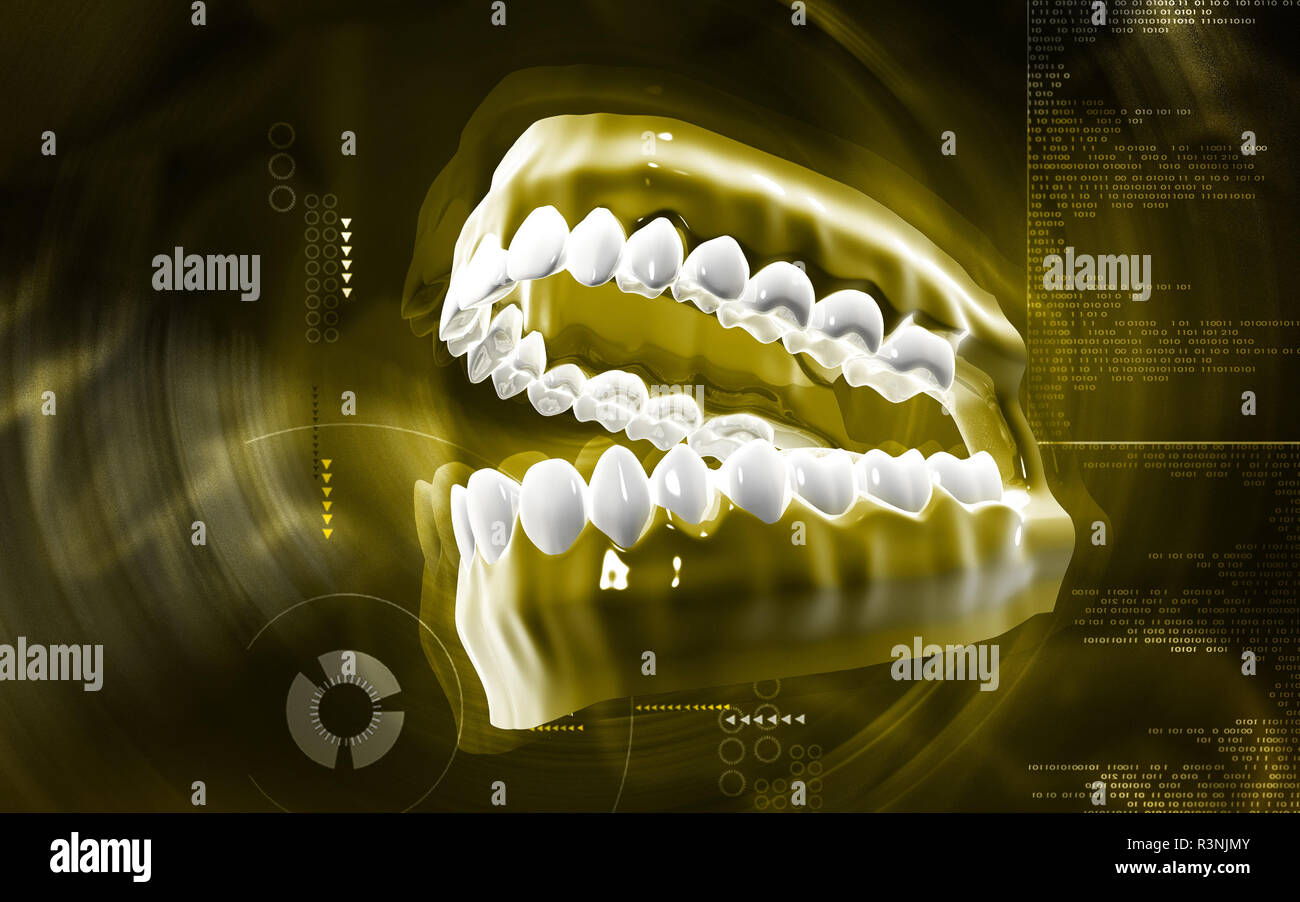 Canine teeth human hi-res stock photography and images - Alamy