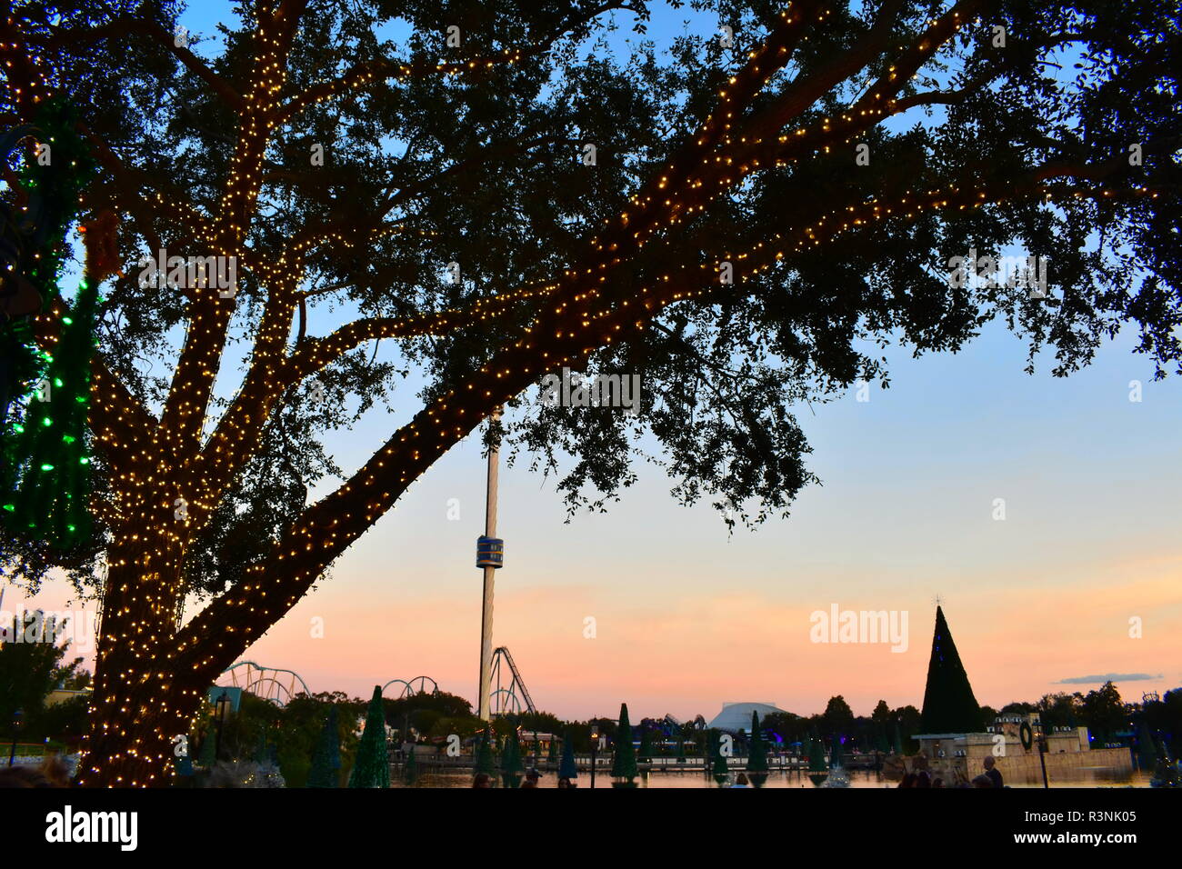 Orlando, Florida. November 17, 2018. Beautiful scenery with illuminated ...