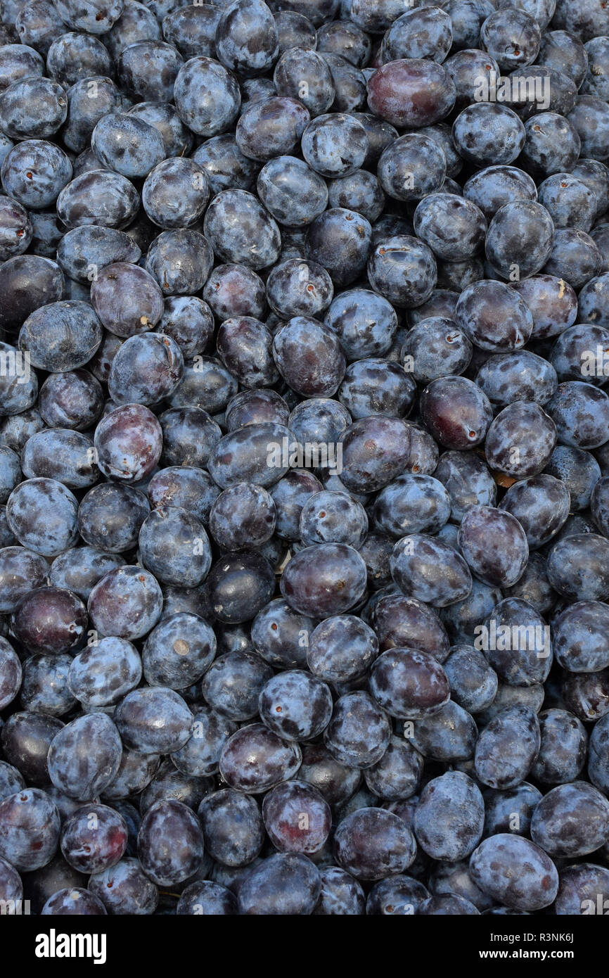 Organic prunes plum organic fruit food background Stock Photo - Alamy