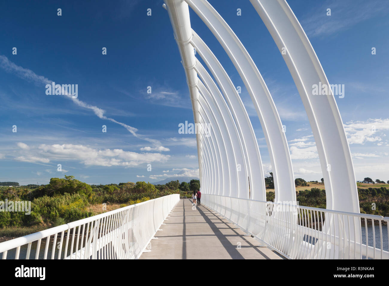 The Rewa Rewa Bridge New Zealand High Resolution Stock Photography and ...