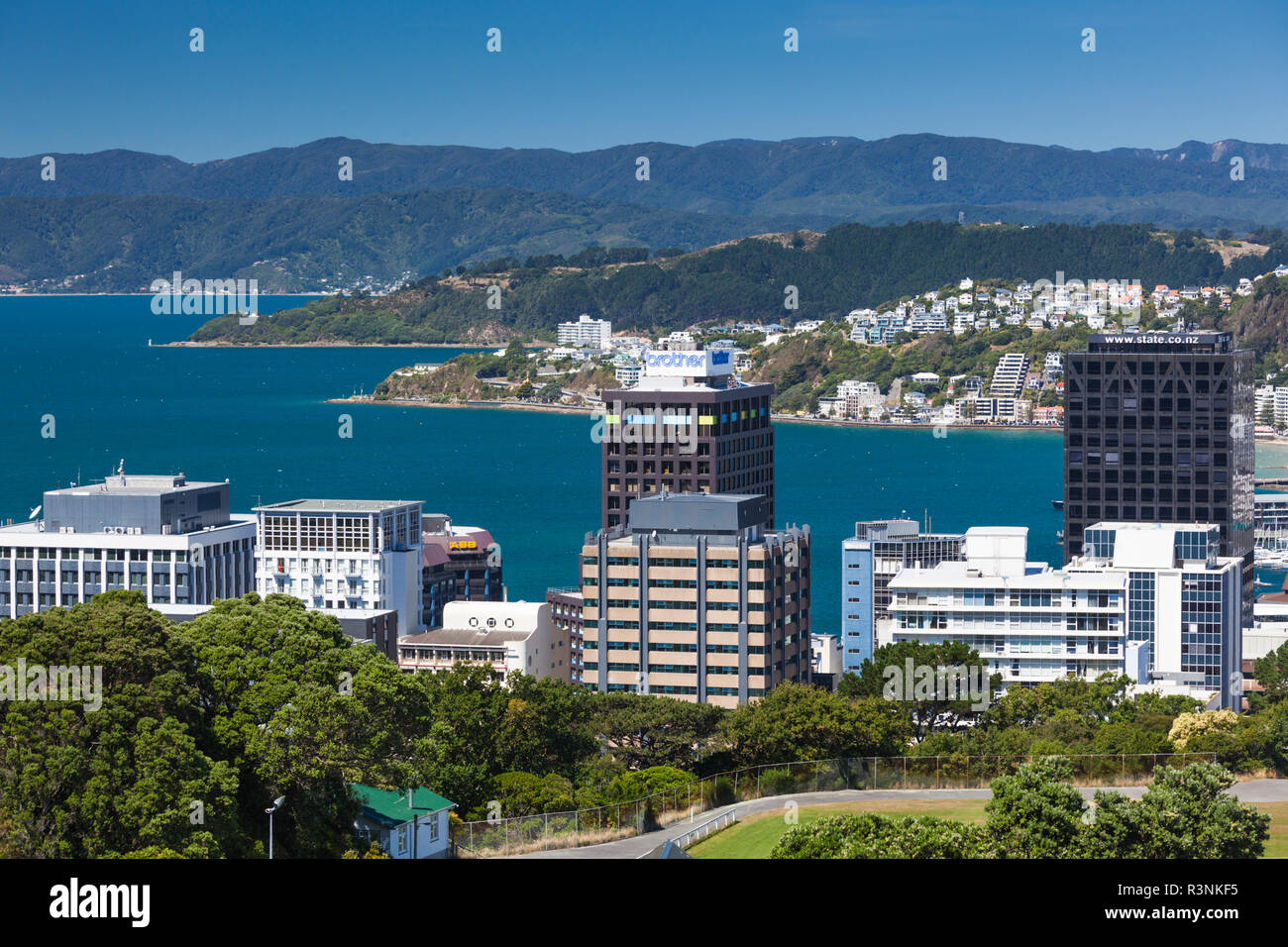 New Zealand, North Island, Wellington. City skyline from the Wellington ...