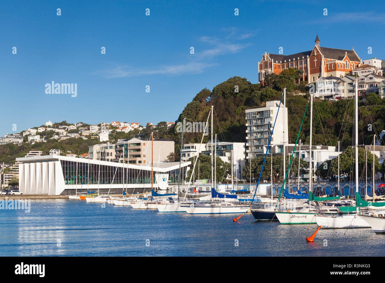 New Zealand, North Island, Wellington. Oriental Parade marina and St ...