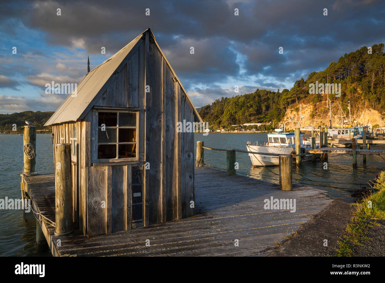 New Zealand, North Island, Coromandel Peninsula. Coromandel Town ...