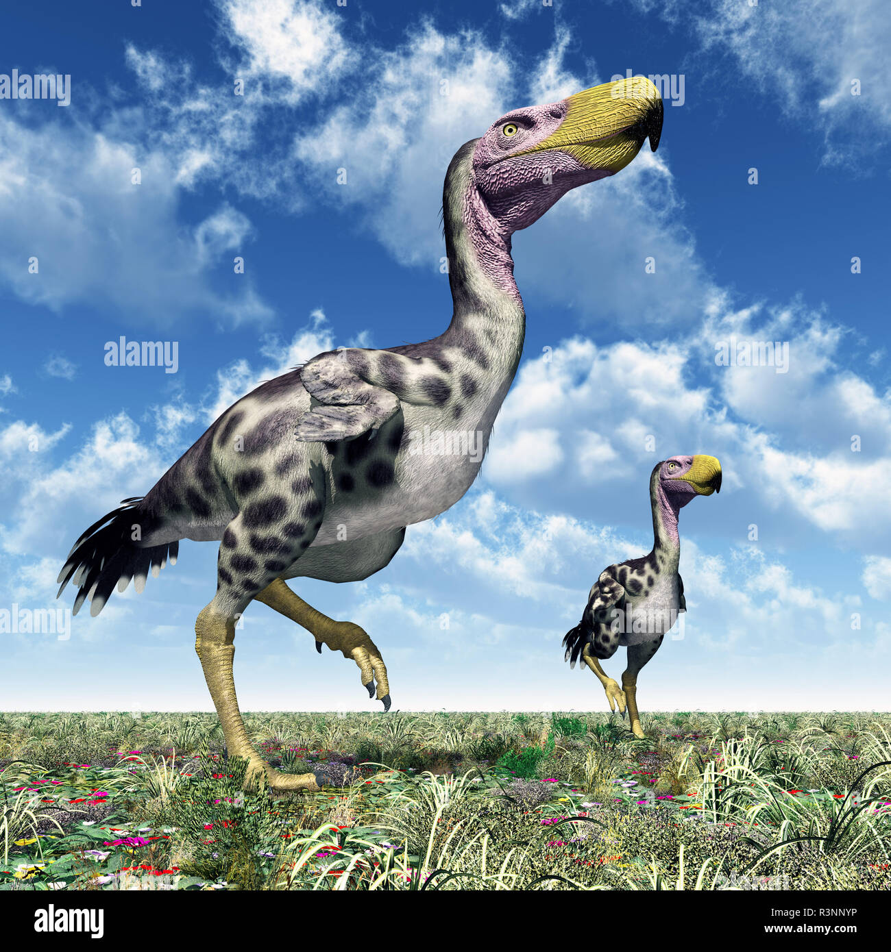 Primitive birds hi-res stock photography and images - Alamy