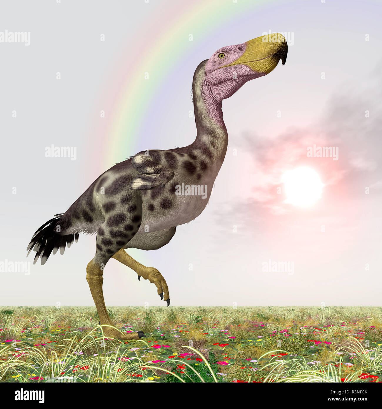 Terror bird body hi-res stock photography and images - Alamy