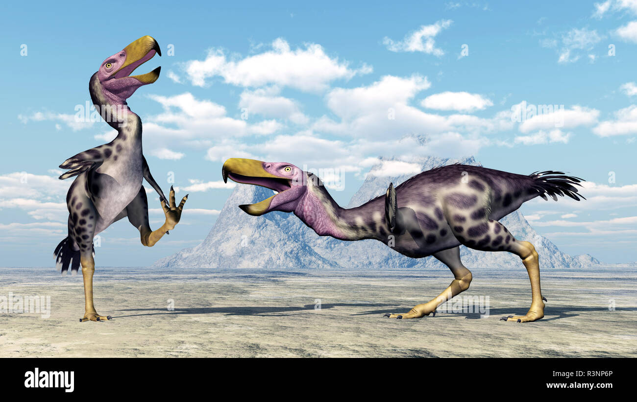 Terror birds hi-res stock photography and images - Alamy
