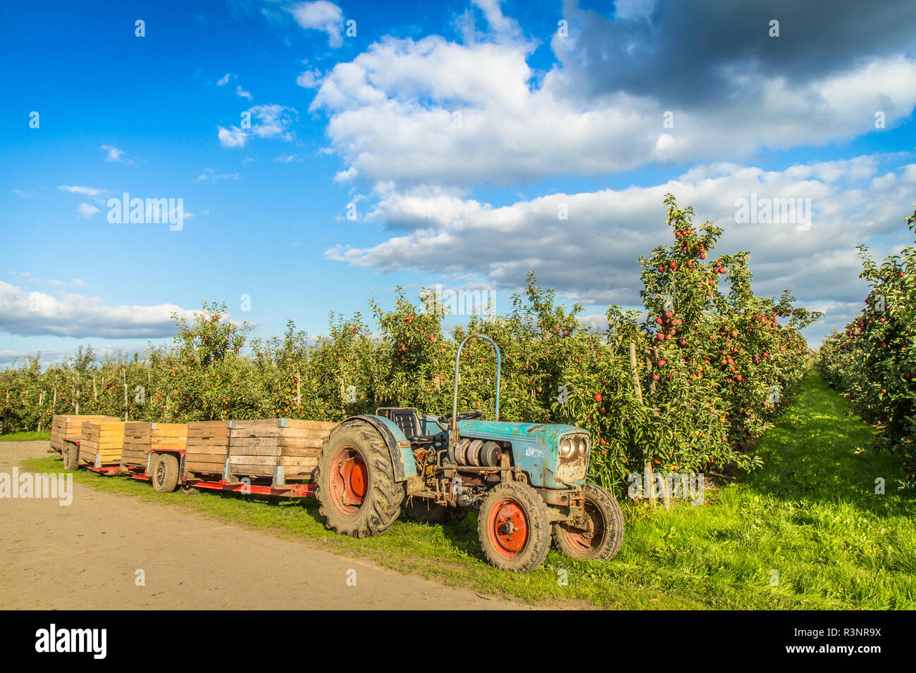 Altes Land - Germany Stock Photo - Alamy