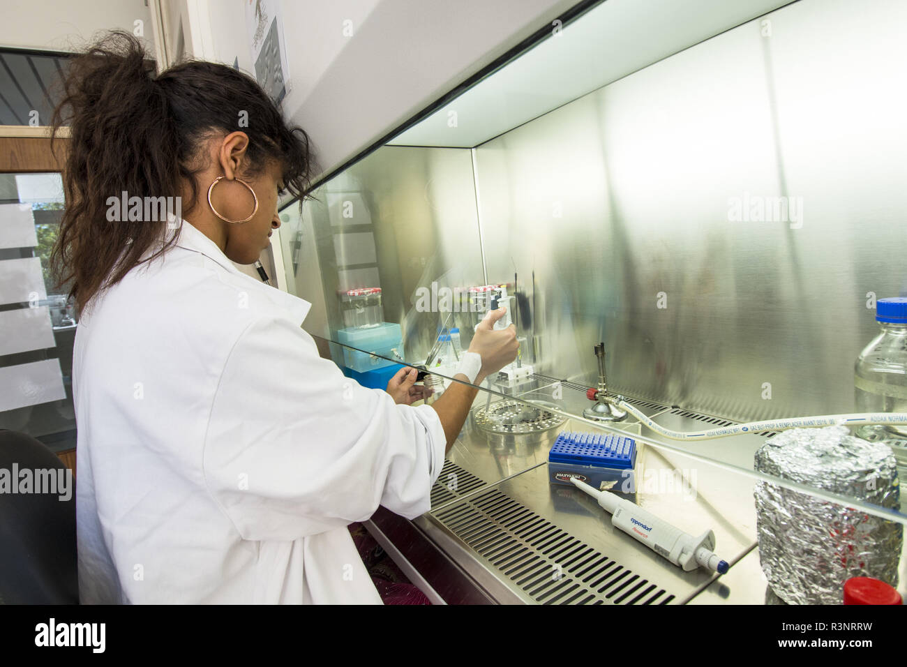 Extraction and analysis of active ingredients of fruits against pests ...