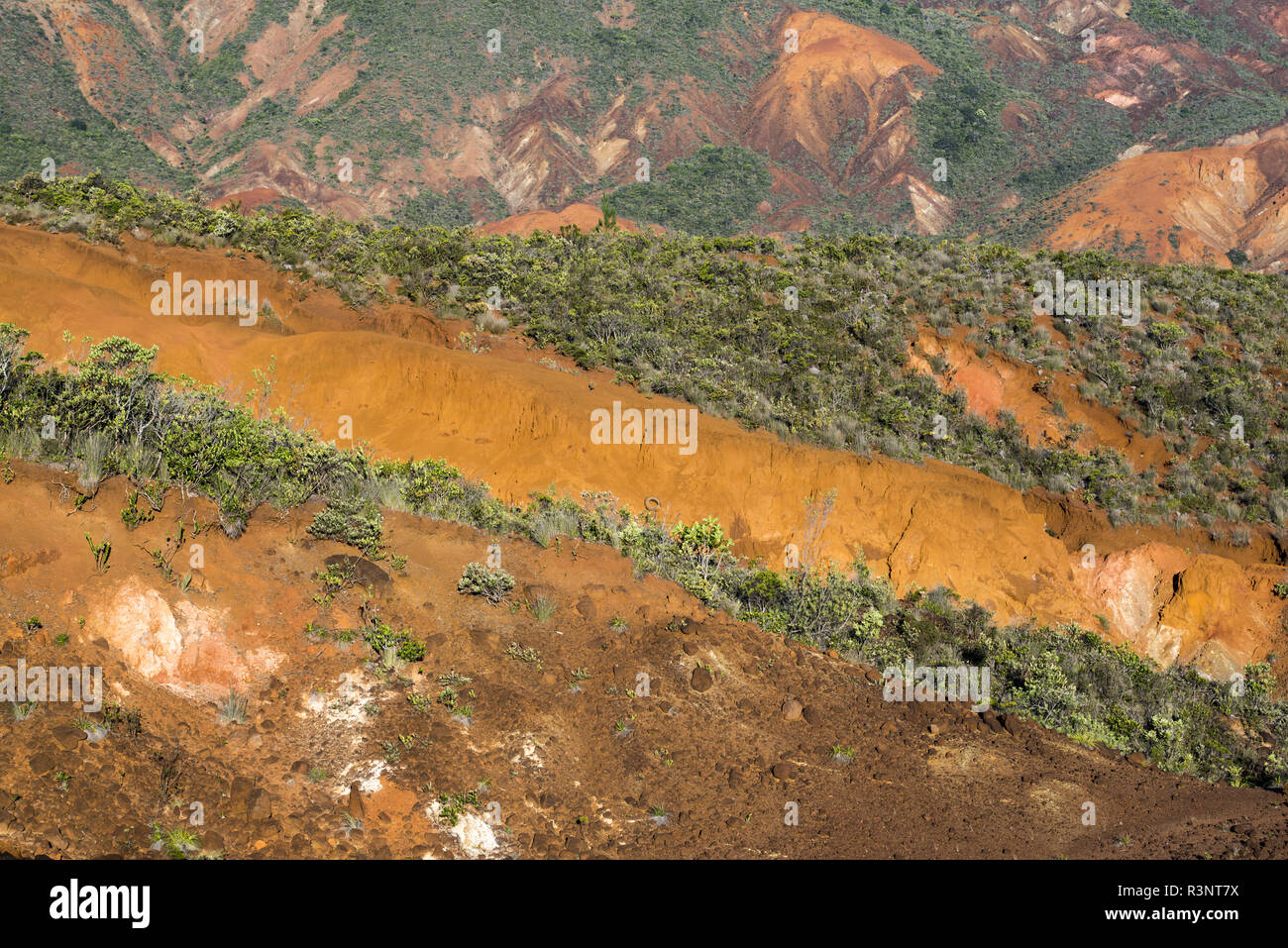 Fire soil erosion hi-res stock photography and images - Alamy