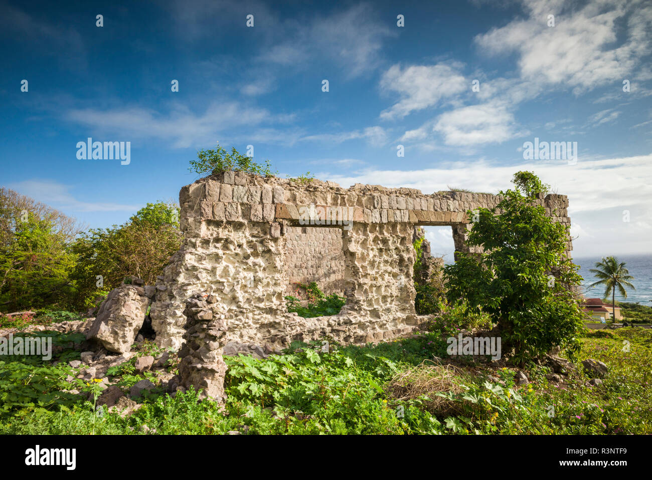 St. Kitts and Nevis, Nevis. Eden Brown, ruins of Eden Brown sugar ...