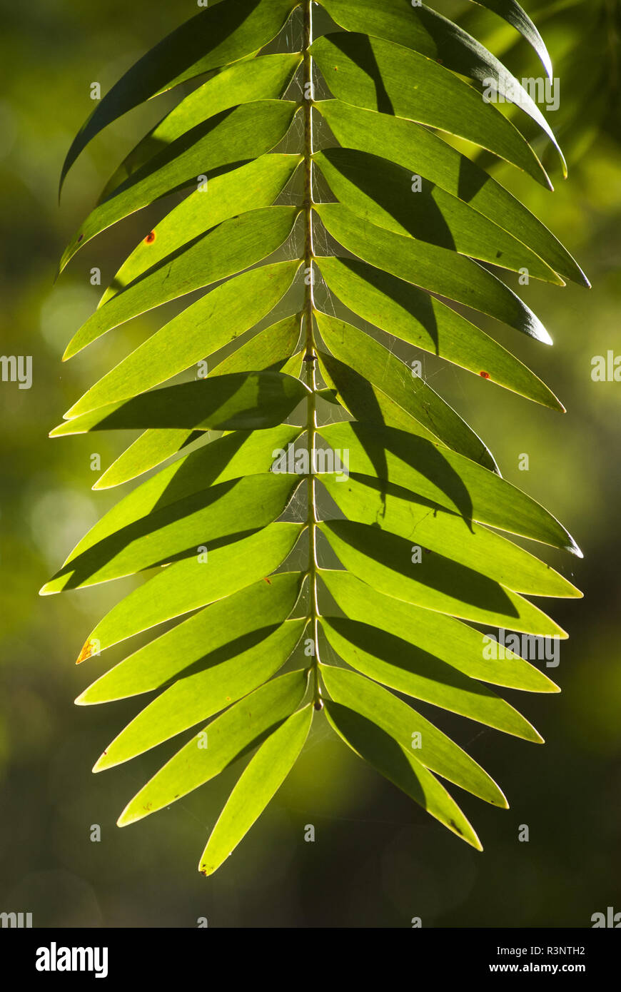 The northern province hi-res stock photography and images - Alamy