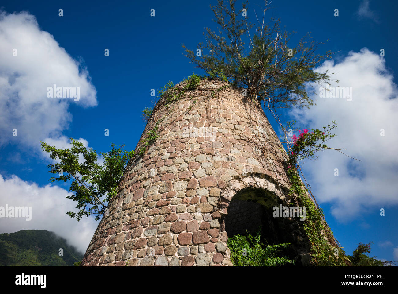 Hamilton estate ruins hi-res stock photography and images - Alamy