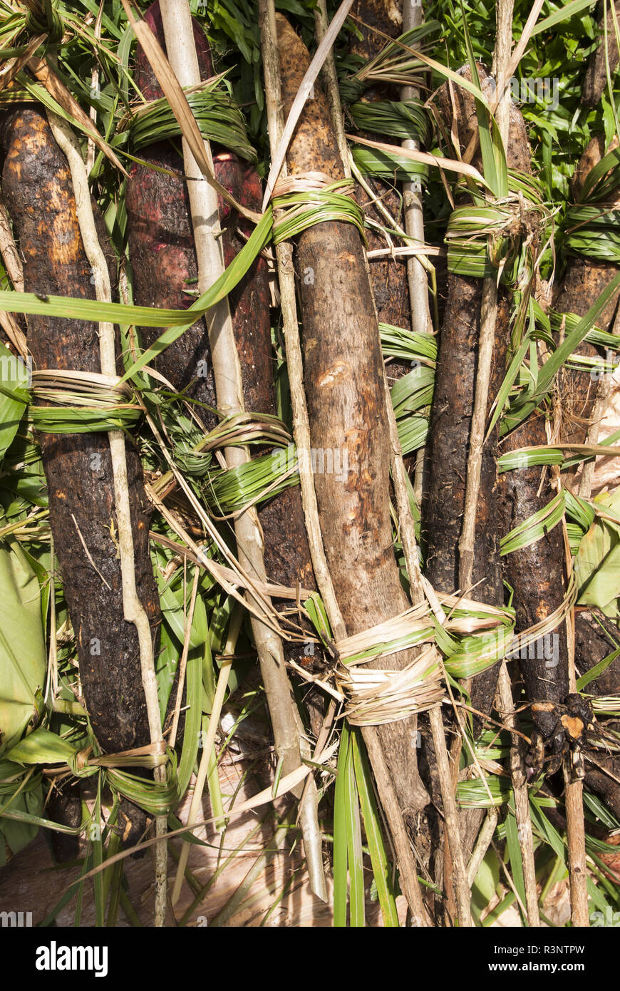 New Yam Festival High Resolution Stock Photography and Images - Alamy