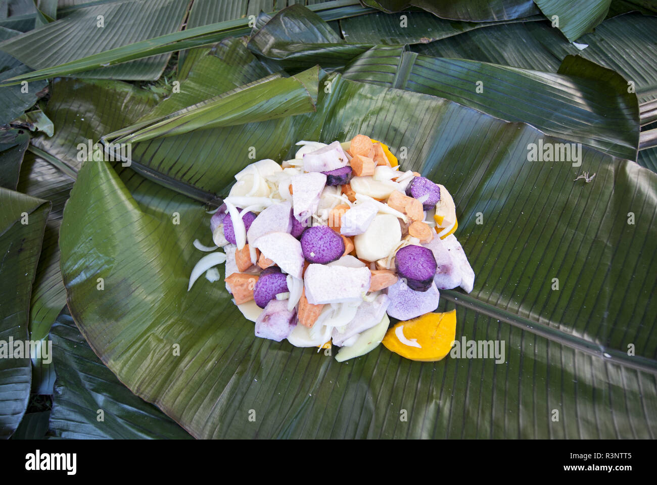Kanak traditional dish before cooking in banana leaves, bougna ...
