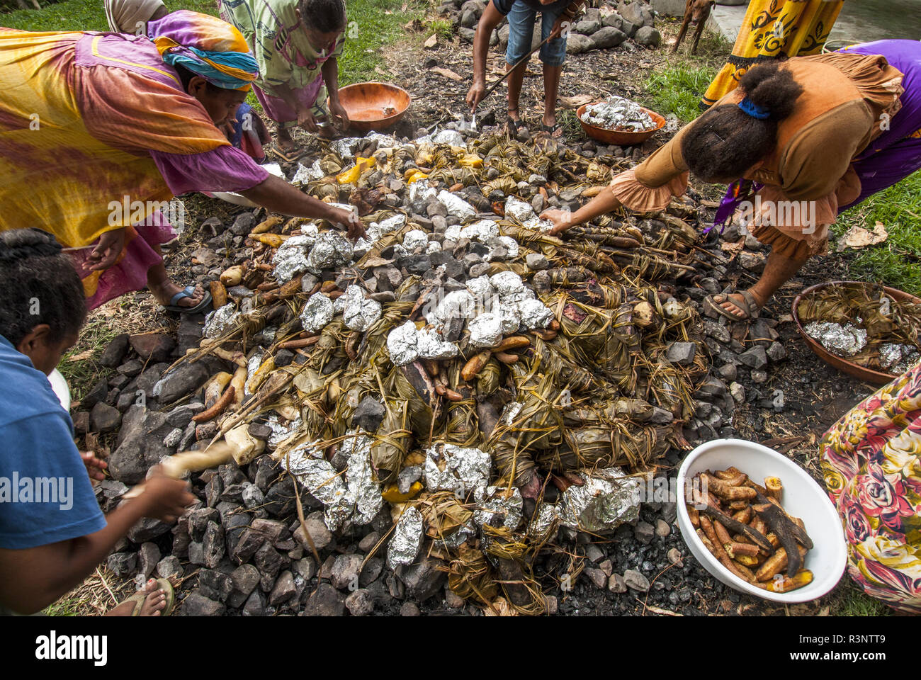 Ipomoea sp hi-res stock photography and images - Alamy