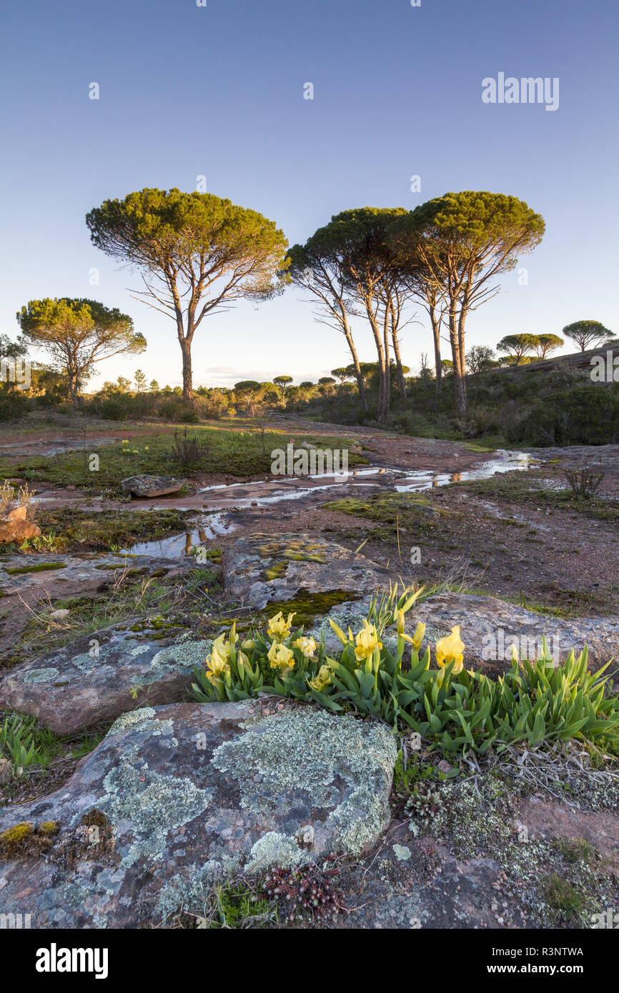 Temporary nature of the body hi-res stock photography and images - Alamy