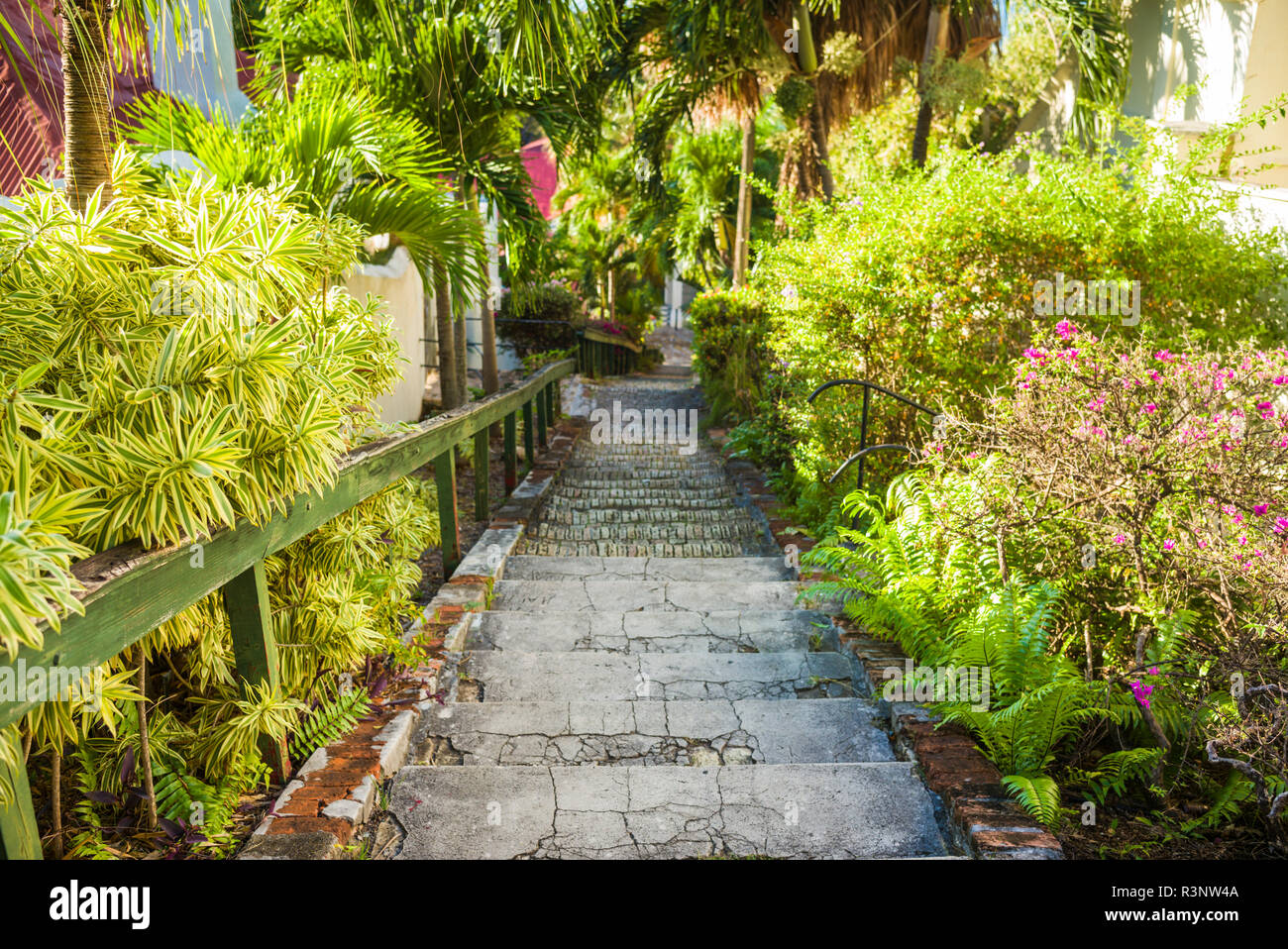 U.S. Virgin Islands, St. Thomas. Charlotte Amalie, The 99 Steps Stock ...