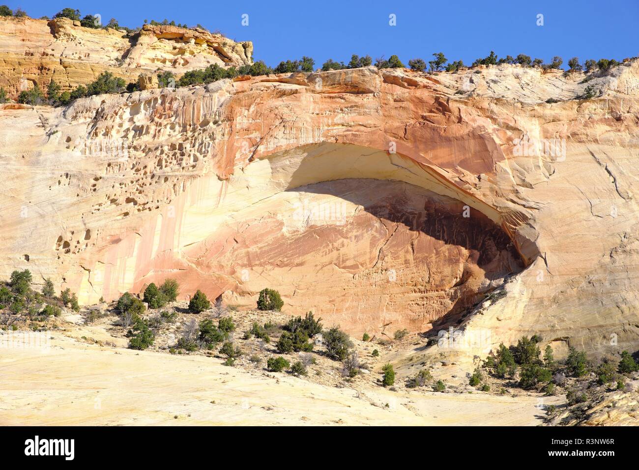 Biodiversity arch hi-res stock photography and images - Alamy