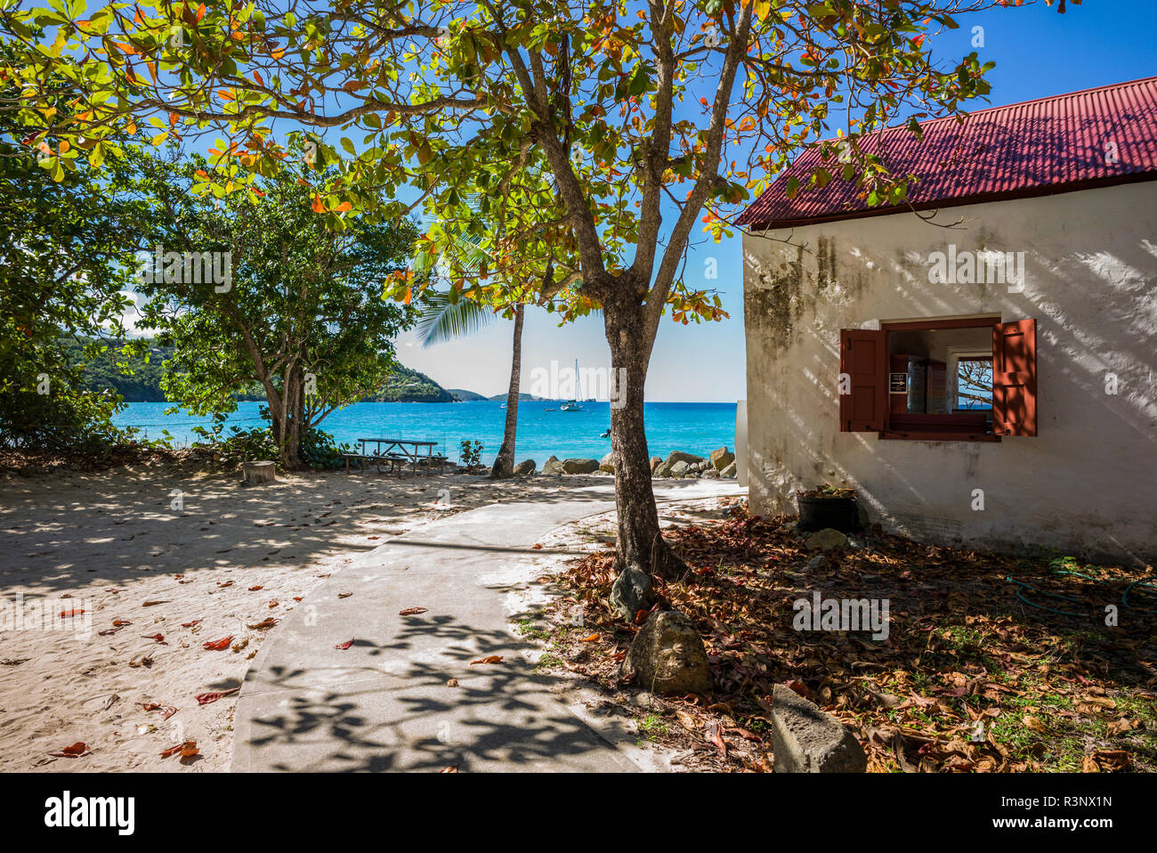 U.S. Virgin Islands, St. John. Maho Bay Beach Stock Photo - Alamy