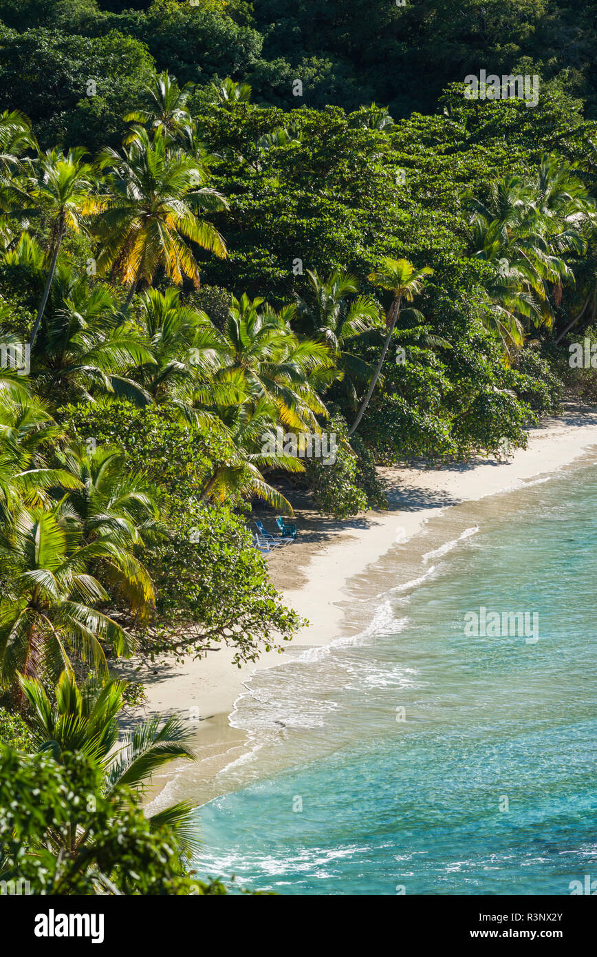 U.S. Virgin Islands, St. John. Hawksnest Bay, elevated beach view Stock ...