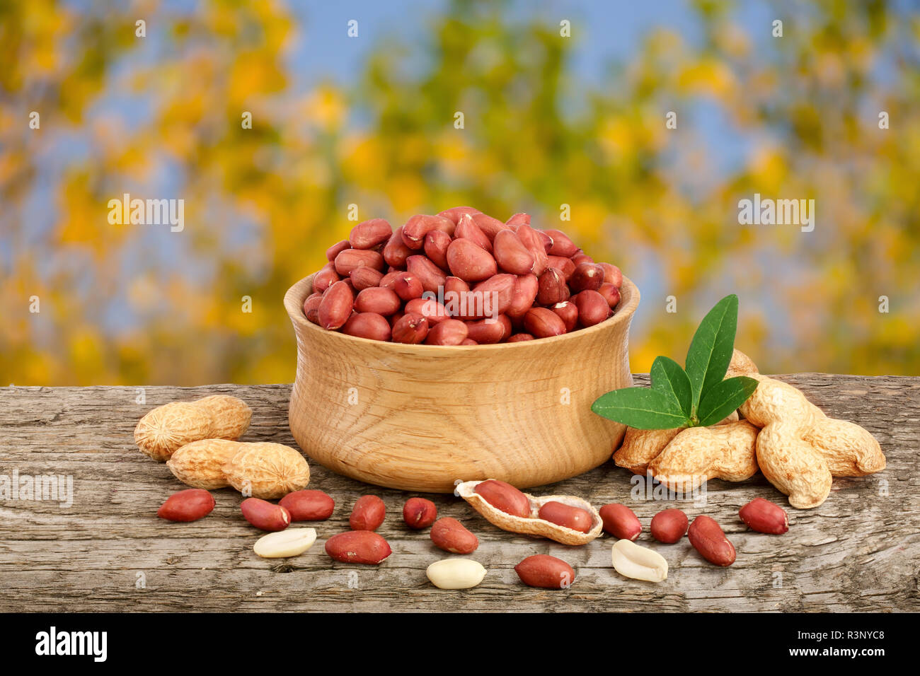 peanuts with leaf in bowl on old on wooden table with a blurry garden ...