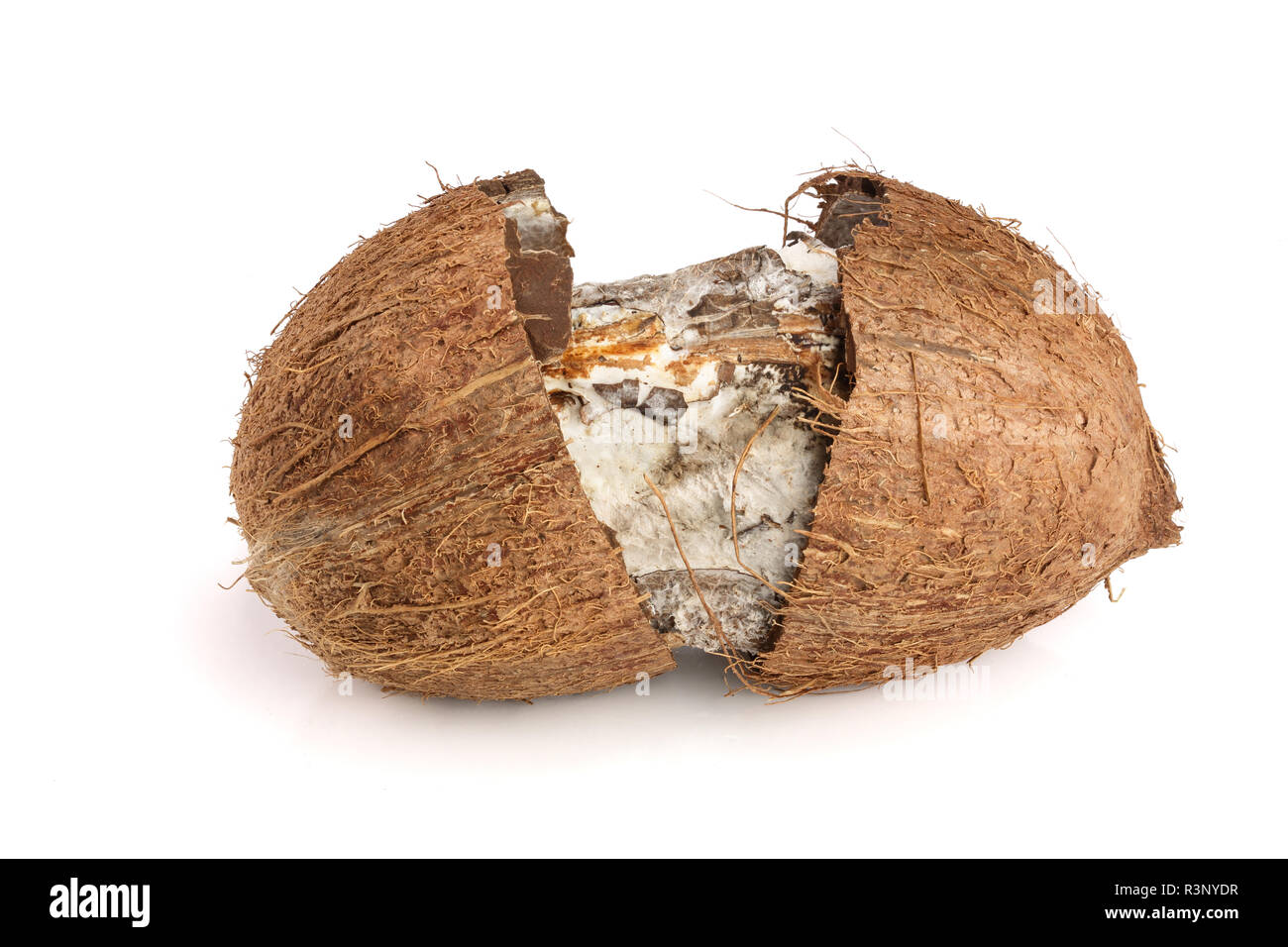 Coconut spoiled with mold isolated on white background Stock Photo - Alamy