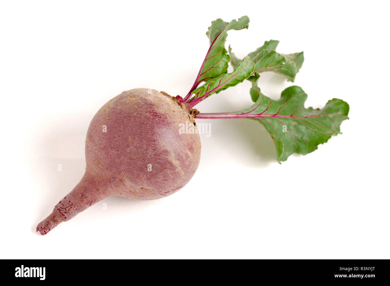 Beetroot with leaf isolated on white background Stock Photo - Alamy