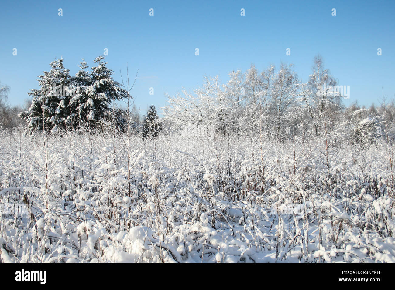Berlin marienfelde hi-res stock photography and images - Alamy
