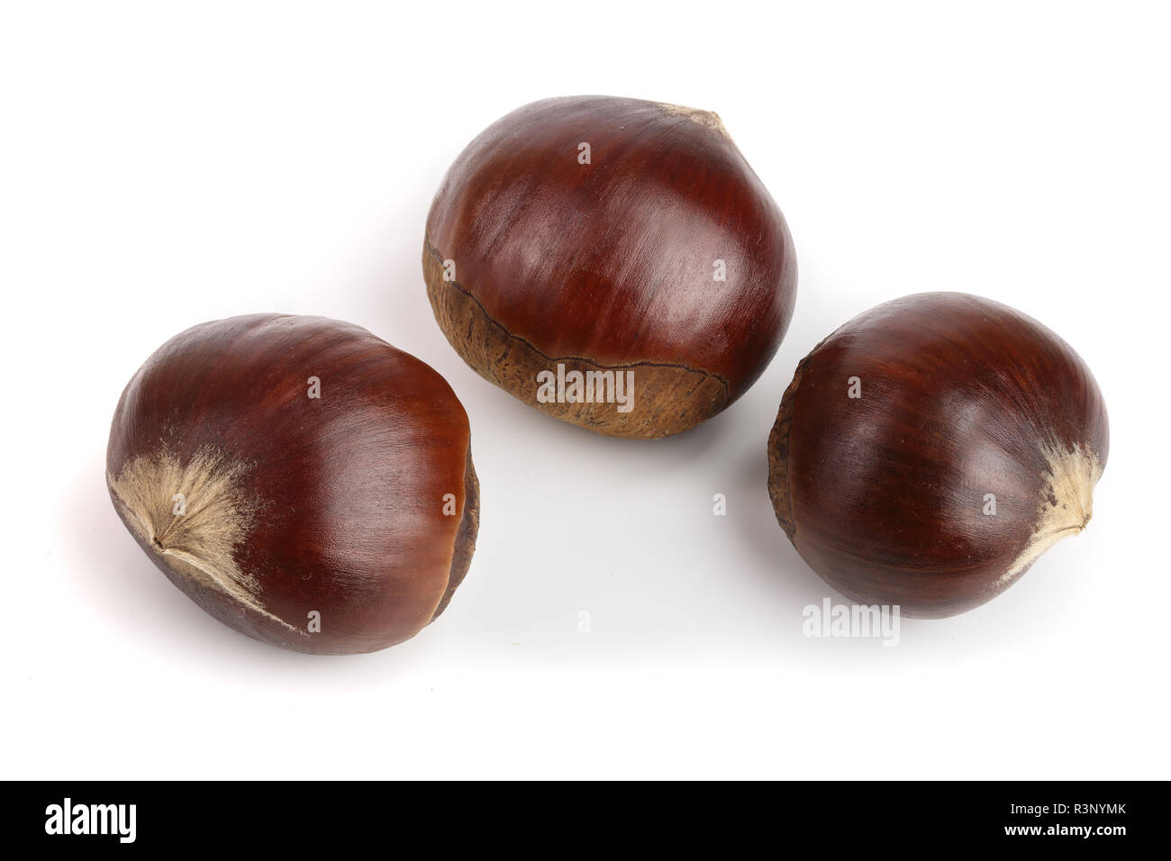 fresh edible chestnut isolated on white background Stock Photo - Alamy