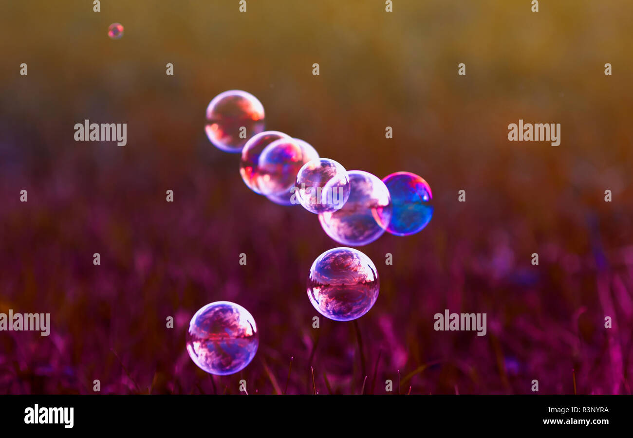 festive beautiful background with flying bubbles shimmering in the sun ...