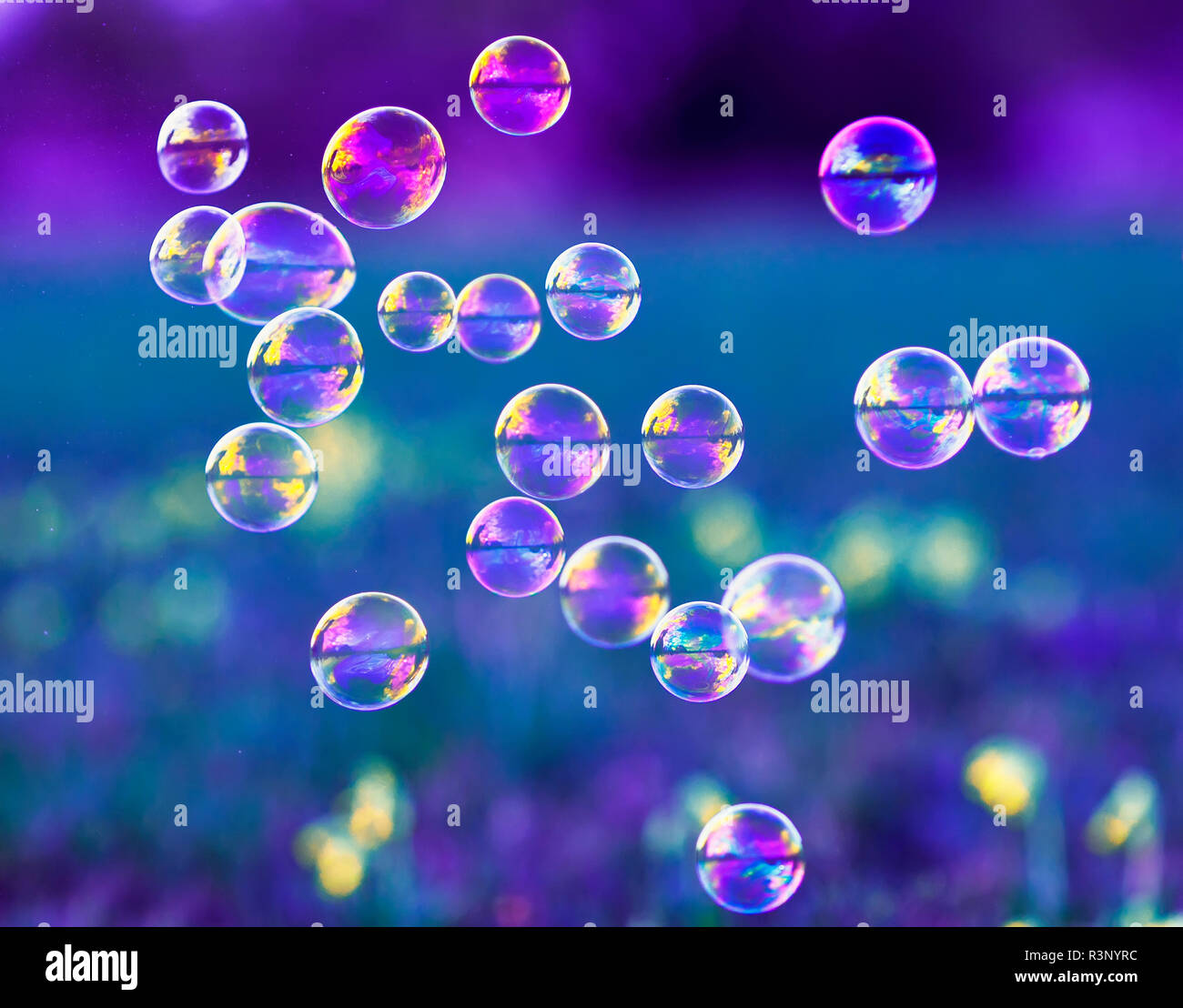 beautiful background with flying bubbles shimmering in the sun over the ...