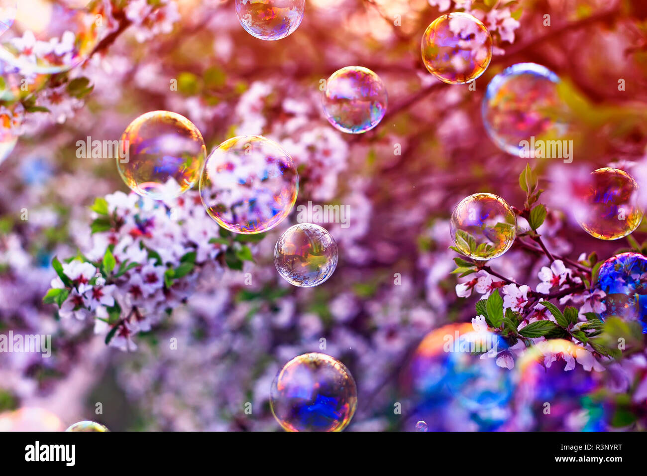 Beautiful Bubbles Background 1000+ Bubbles Background Pictures