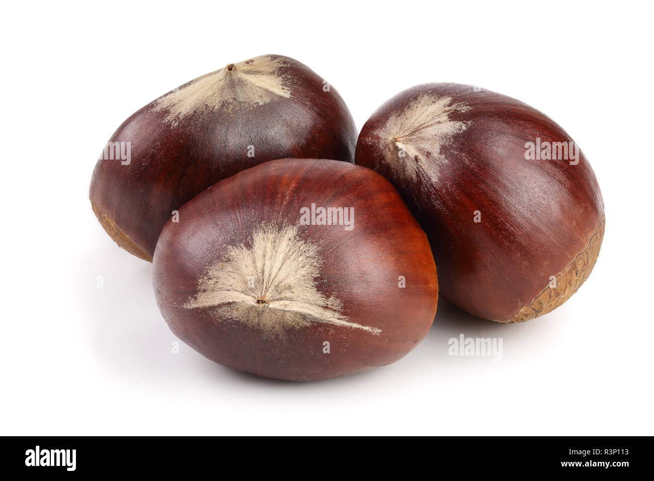 fresh edible chestnut isolated on white background Stock Photo - Alamy