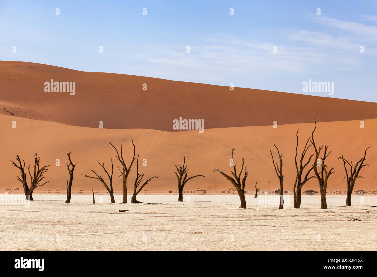 The iconic dead trees of Deadvlei valley in the Sossusvlei national ...
