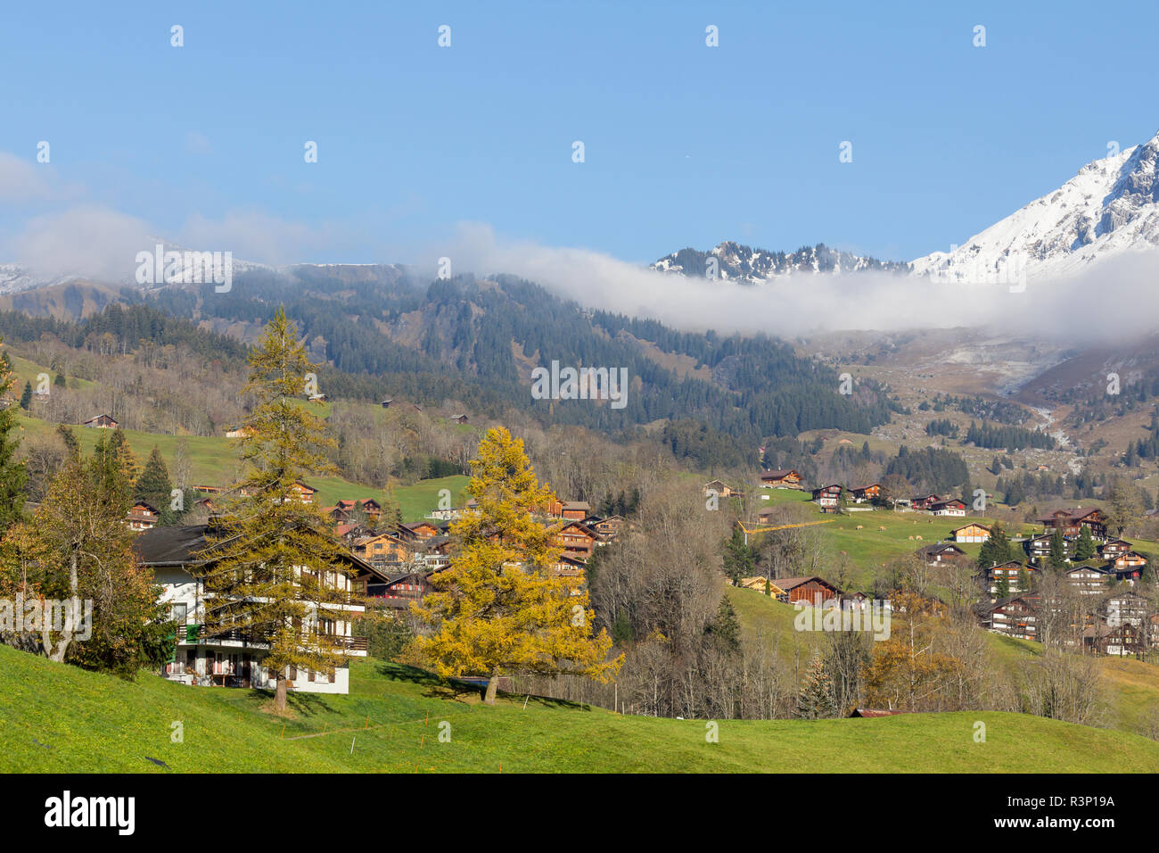 Village grindelwald hi-res stock photography and images - Alamy