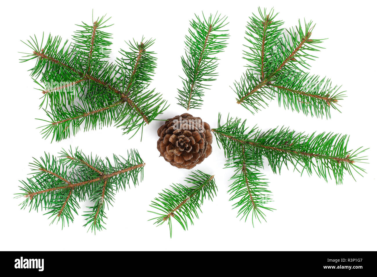 Fir tree top view Cut Out Stock Images & Pictures - Alamy