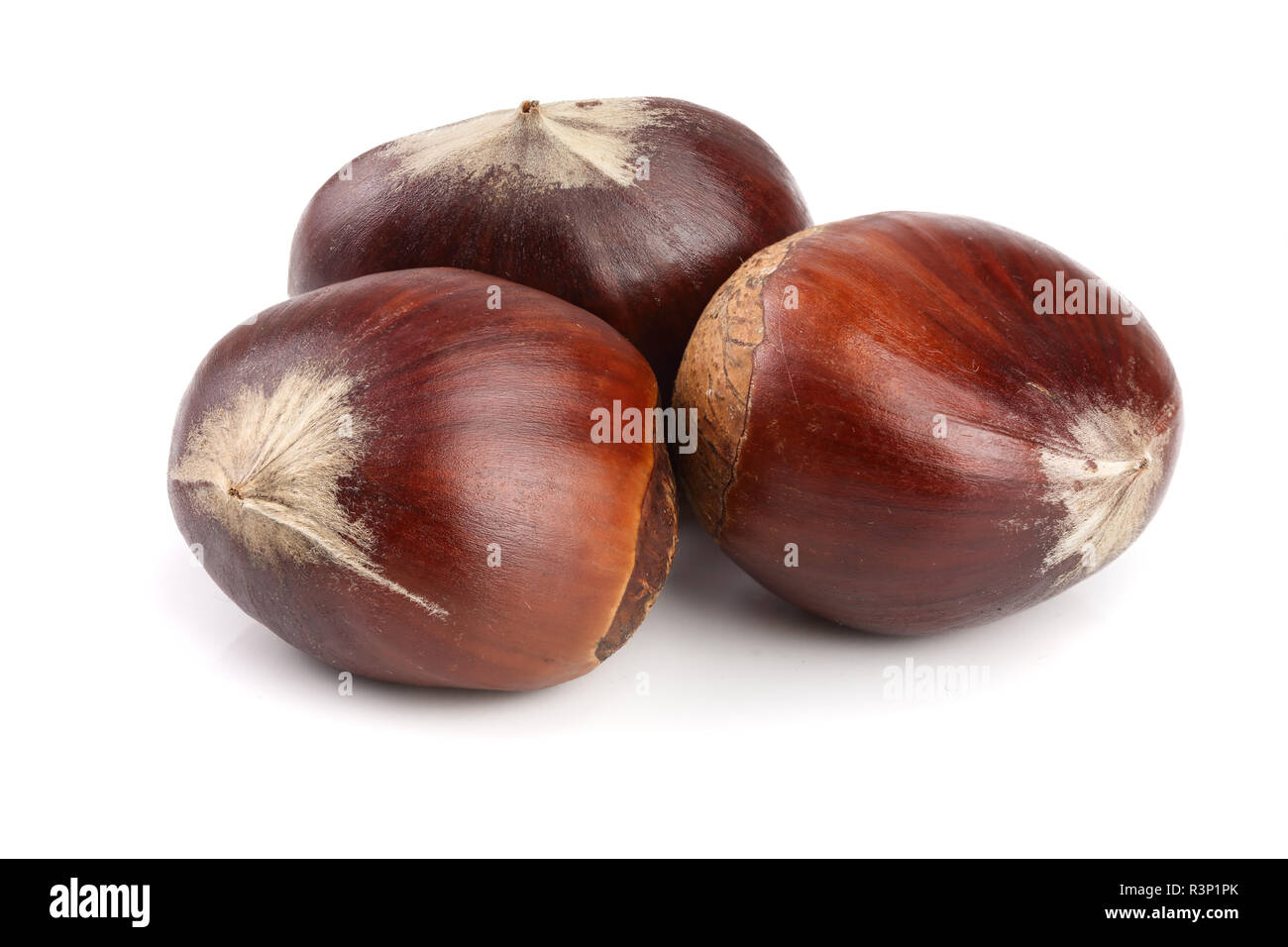 fresh edible chestnut isolated on white background Stock Photo - Alamy